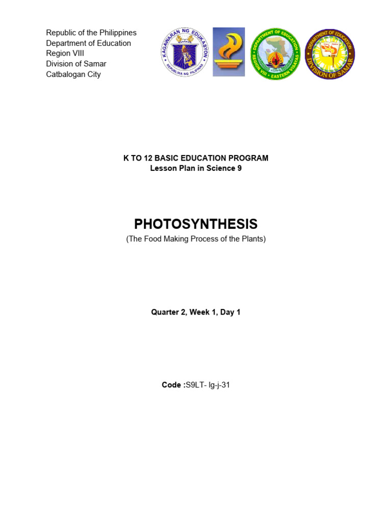 Lesson Plan Sample | PDF | Photosynthesis | Stoma