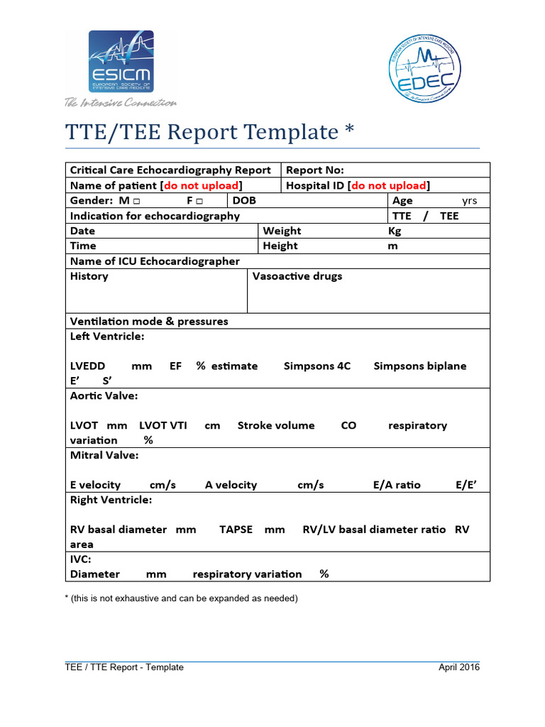 TTE TEE Report Template | PDF