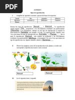Allobates niputidea: Especie Única | PDF | Taxonomía (biología) | Género