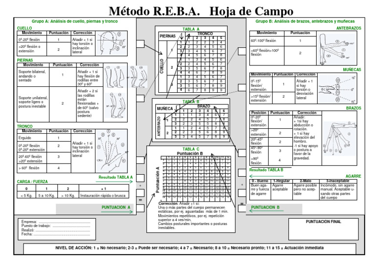 Hoja de campo REBA | PDF