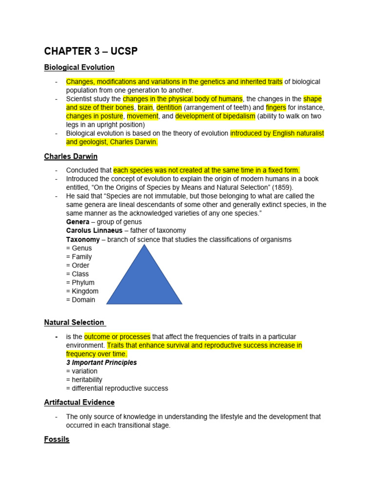 Chapter 3 Ucsp | PDF | Homo | Society