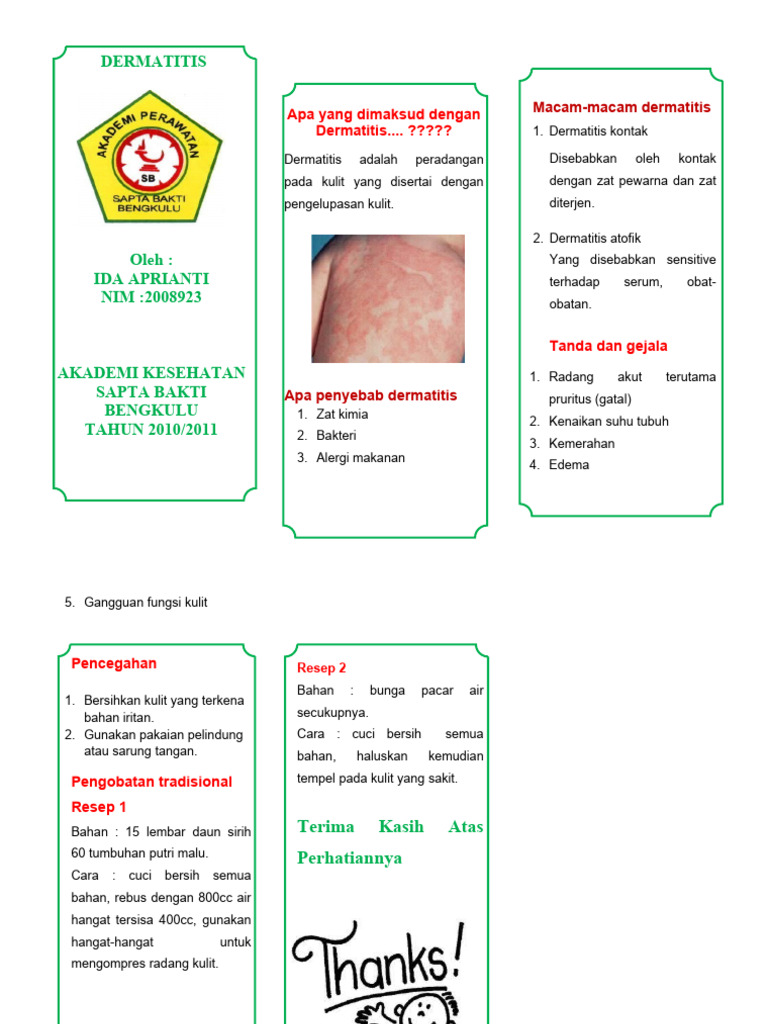 Leflet Dermatitis | PDF