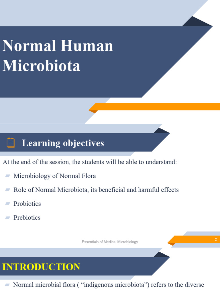Understanding Normal Human Microbiota | PDF | Probiotic | Virus