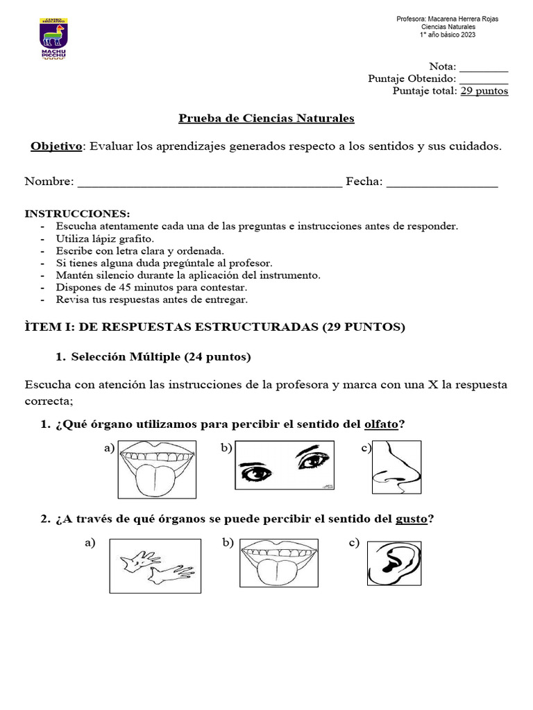 Prueba los sentidos 1° básico | PDF | Percepción | Cognición