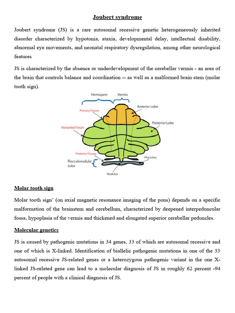 Joubert Syndrome | PDF | Causes Of Death | Neurological Disorders