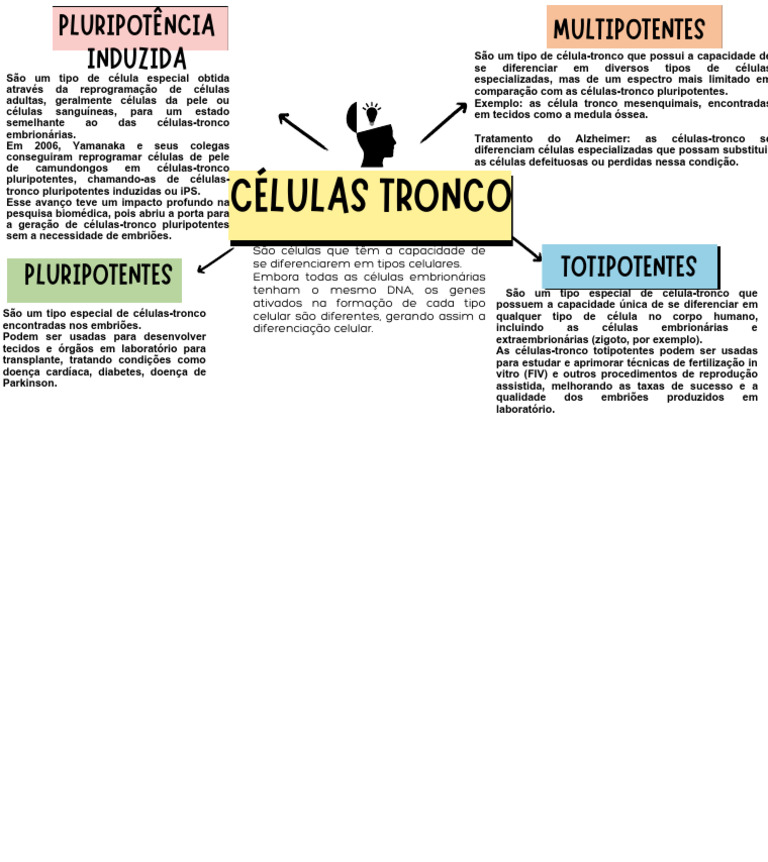 Tipos de Células-Tronco e Suas Aplicações | PDF | Potência celular ...