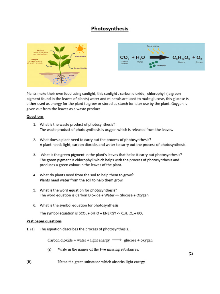 Kopia Av Photosynthesis - With-Past-Exam-Questions | PDF | Photosynthesis | Plants