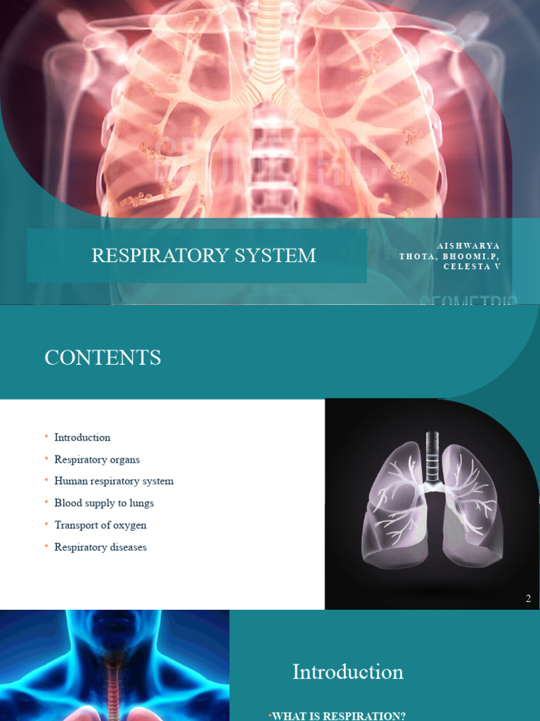 Respiratory | PDF | Lung | Respiratory System
