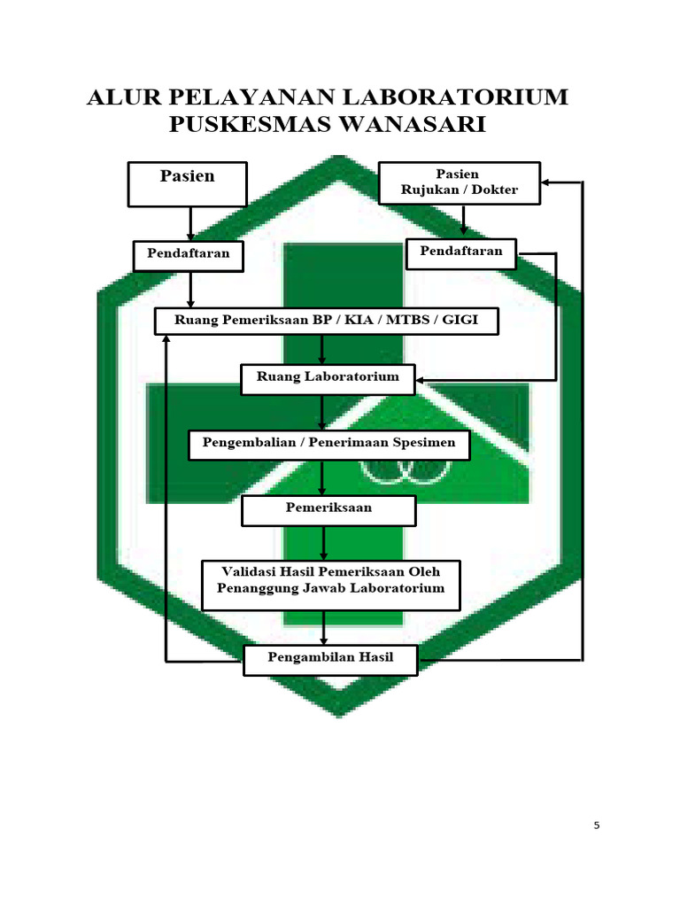 Alur Pelayanan Laboratorium Ok | PDF