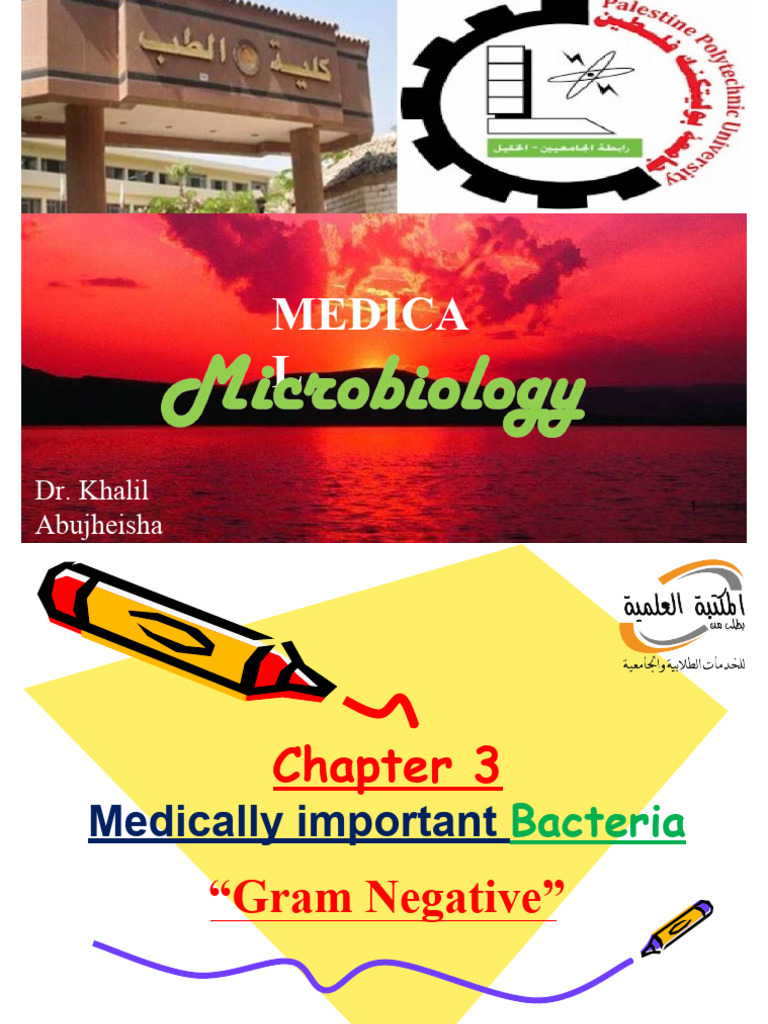 New Chapter 3 Medical Microbiology (1) 2 | PDF | Urinary Tract Infection | Salmonella