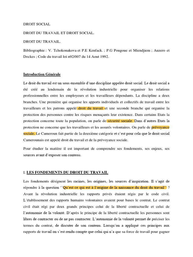 Droit Social et Droit du Travail au Cameroun | PDF | Salaires | Droit ...
