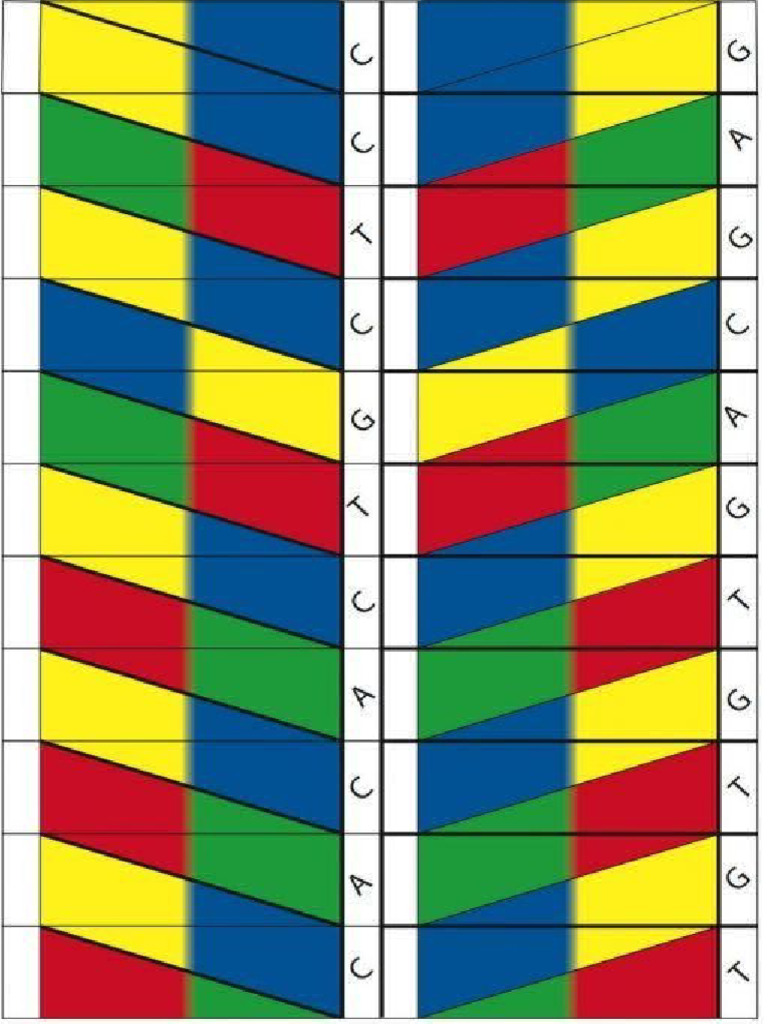 Oragami DNA | PDF