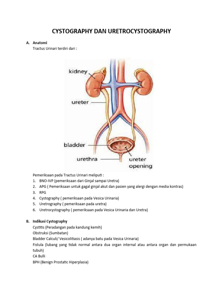 Panduan Cystography & Uretrocystography | PDF | Sains & Matematika