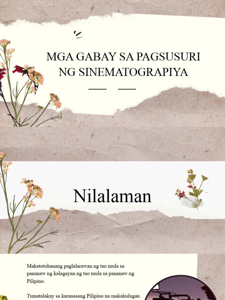 Sinesos - PPT Report | PDF