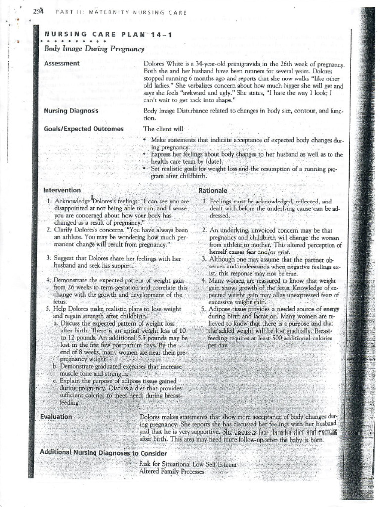 Child Bearing Family Care Plan | PDF