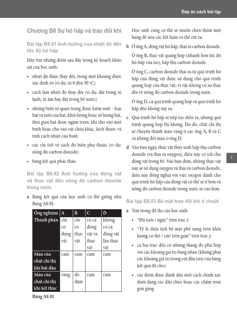 Answer To Exercises B8 | PDF