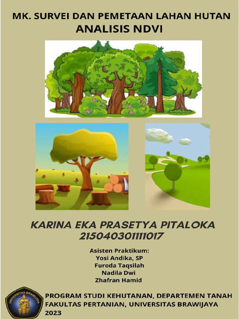 Karina Eka Prasetya P - Laprak Ndvi | PDF