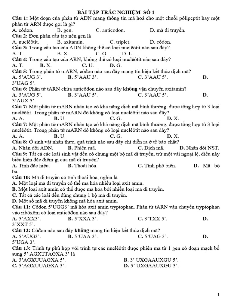 Bai Kiem Tra So 1 | PDF