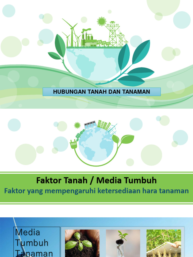 Peranan Tanah dalam Pertumbuhan Tanaman | PDF