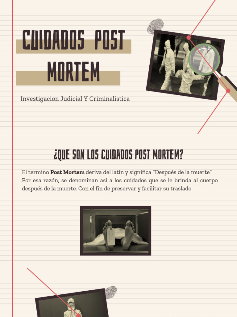 Cuidados Post Mortem | PDF