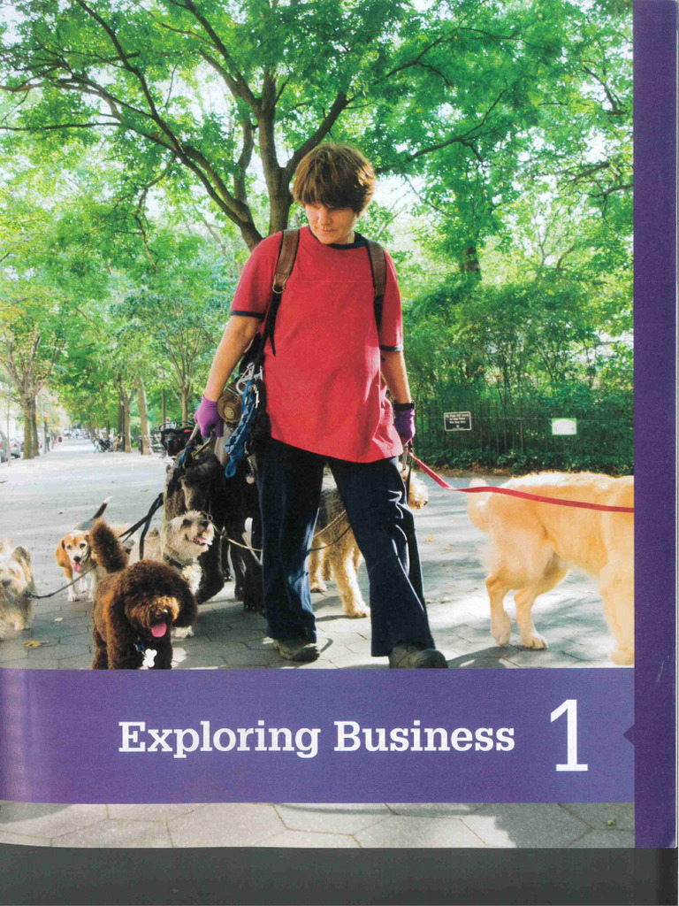 0.0 BOOK Unit 1 Exploring Business BTEC L3 Nat Ext Dip | PDF