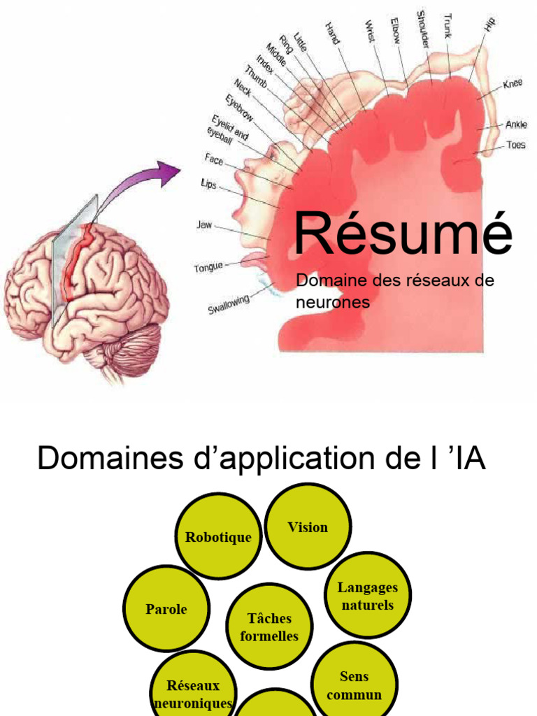 Cours 8 | PDF | Réseau de neurones artificiels | Intelligence artificielle Cours 8 | PDF | Réseau de neurones artificiels | Intelligence artificielle