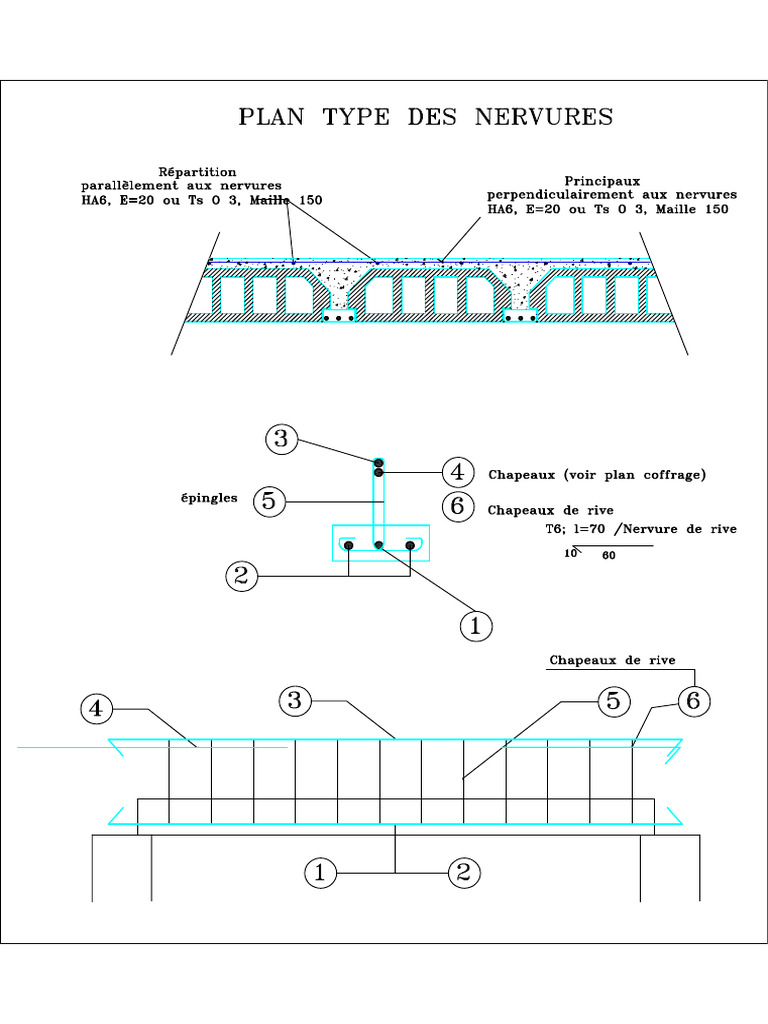 Details Nervures | PDF