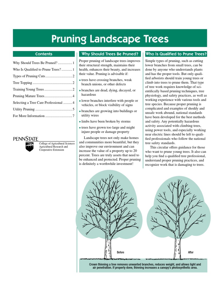 Pruning Trees | PDF | Pruning | Trees