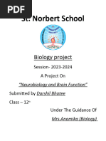 Biology Class 12 Investigatory Project-Types of Cancer | PDF | Cancer ...