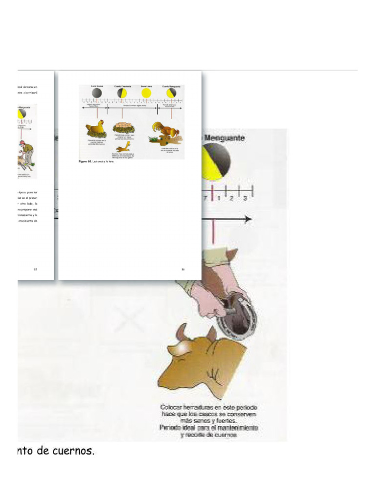 "El Libro de La Luna" en PDF | PDF