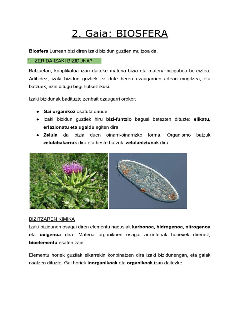 BIOSFERA | PDF