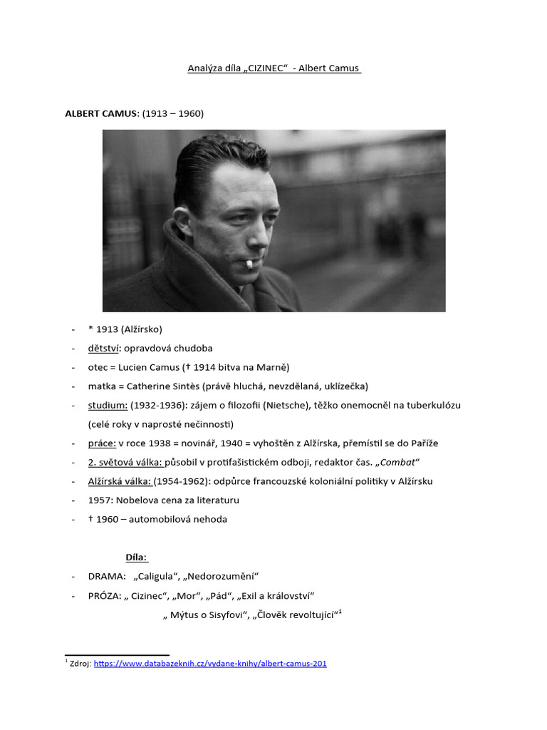 Analýza Díla CIZINEC (Albert Camus) | PDF