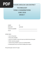 Creative Arts Term 2 Dance and Drama Exam Paper 2025 | PDF | Dances ...