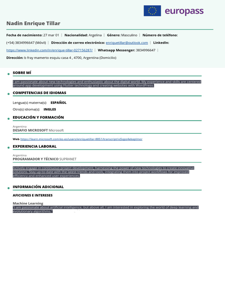 Nadin Enrique Tillar: App Developer Profile | PDF | Career & Growth ...