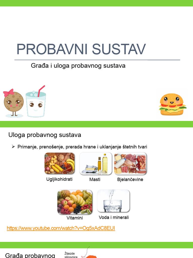 Probavni Sustav - PPT | PDF