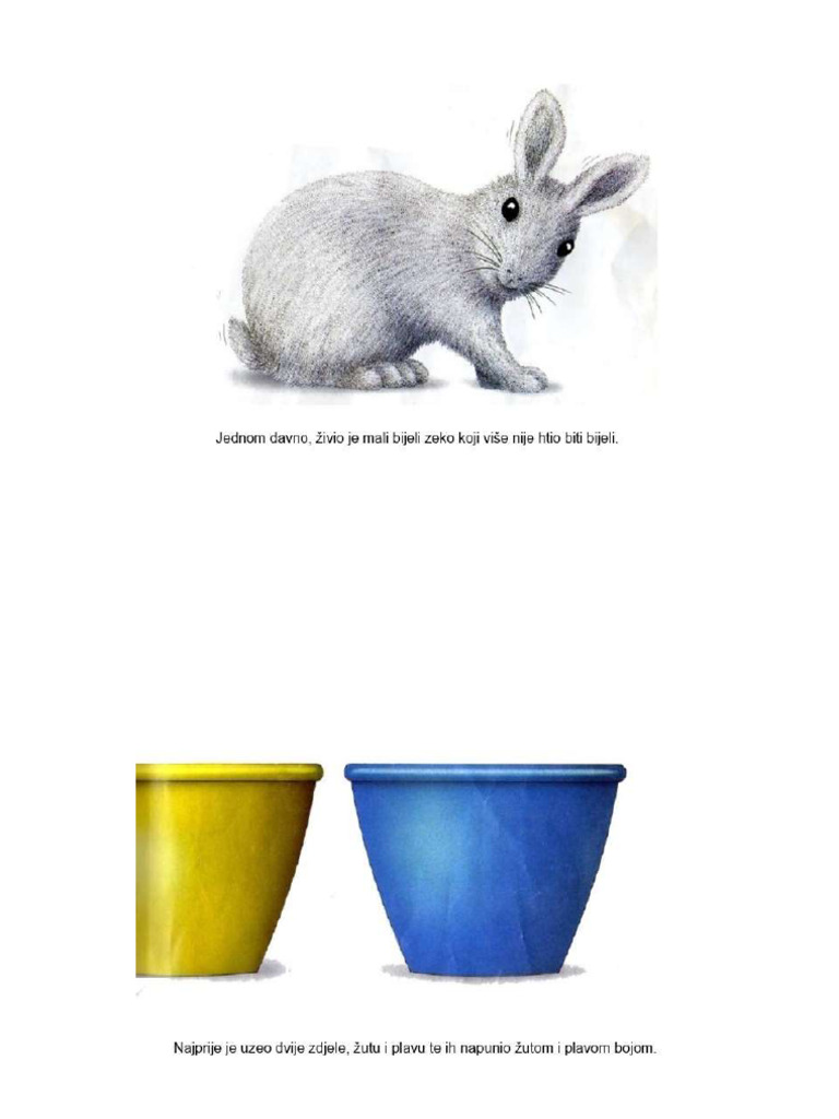 Zeko I Boje | PDF