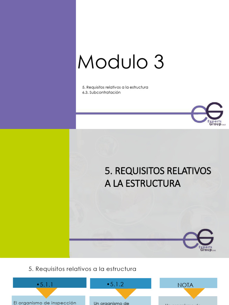 Modulo 3 | Descargar gratis PDF | Outsourcing