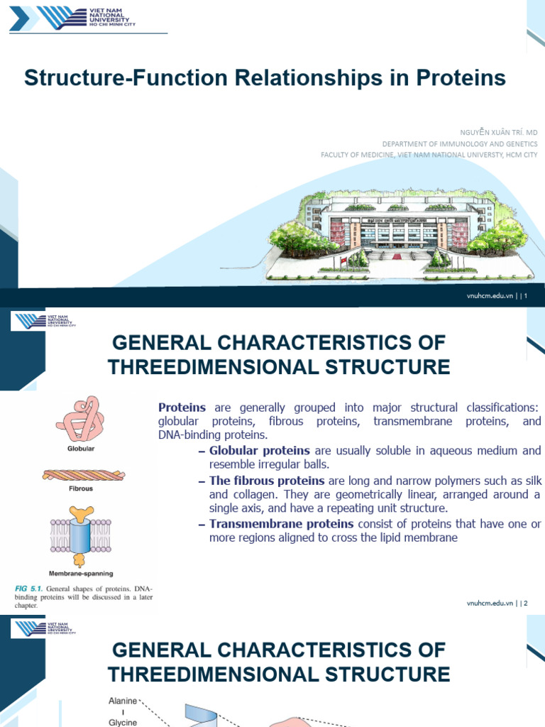 Lesson2.1 - Protein Structure | PDF | Protein Structure | Alpha Helix