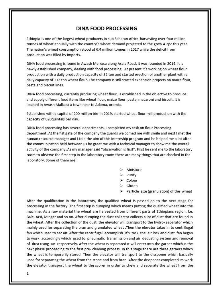 Dina Food Processing | PDF | Wheat | Flour