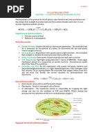 Photosynthesis Class 11 Biology NCERT | PDF | Photosynthesis | Chloroplast
