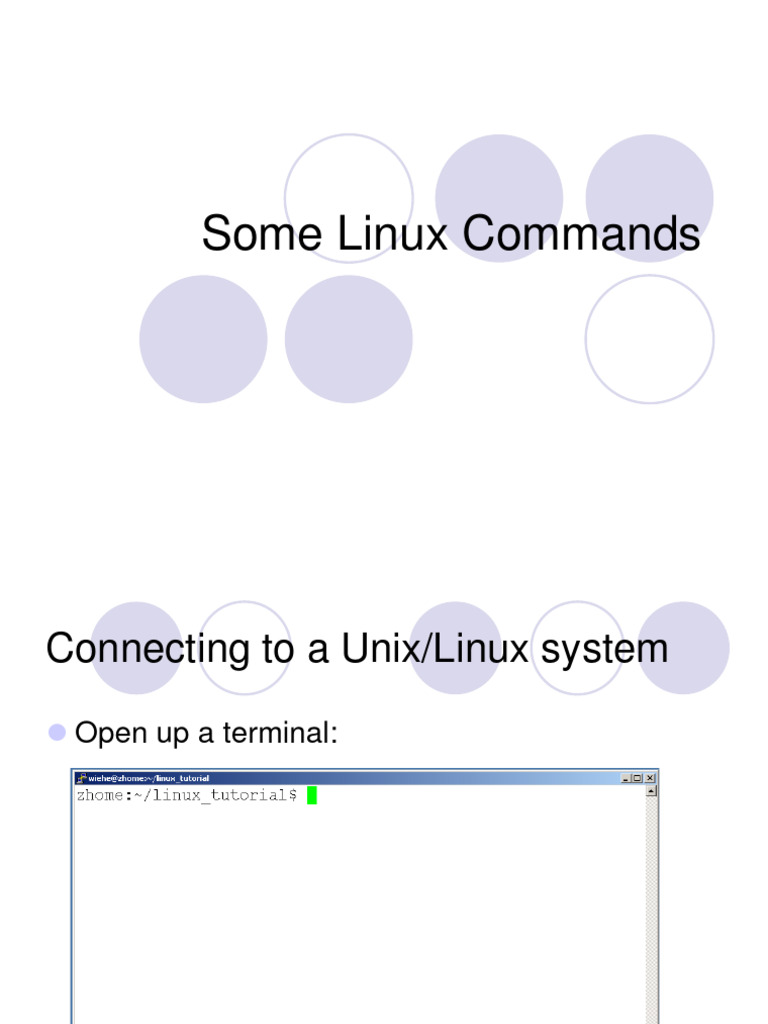 2-Basic Linux Commands-24-07-2023 | PDF | Computer File | Directory ...