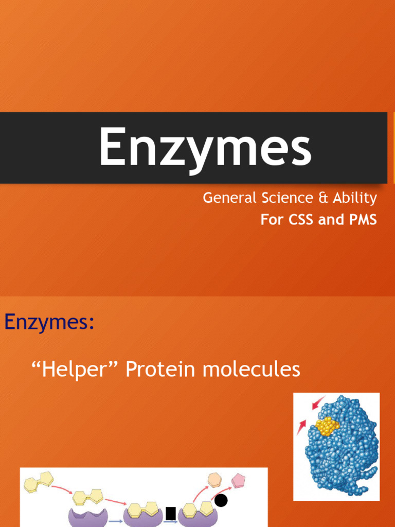 Lecture 18a What Are The Enzymes Part 1 CSS PMS General Science and ...