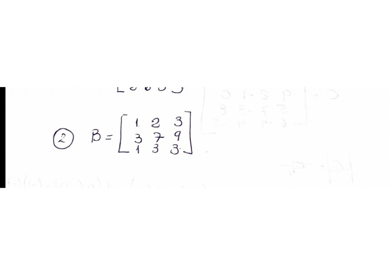 Ejercicio Matriz Inversa 2 | PDF