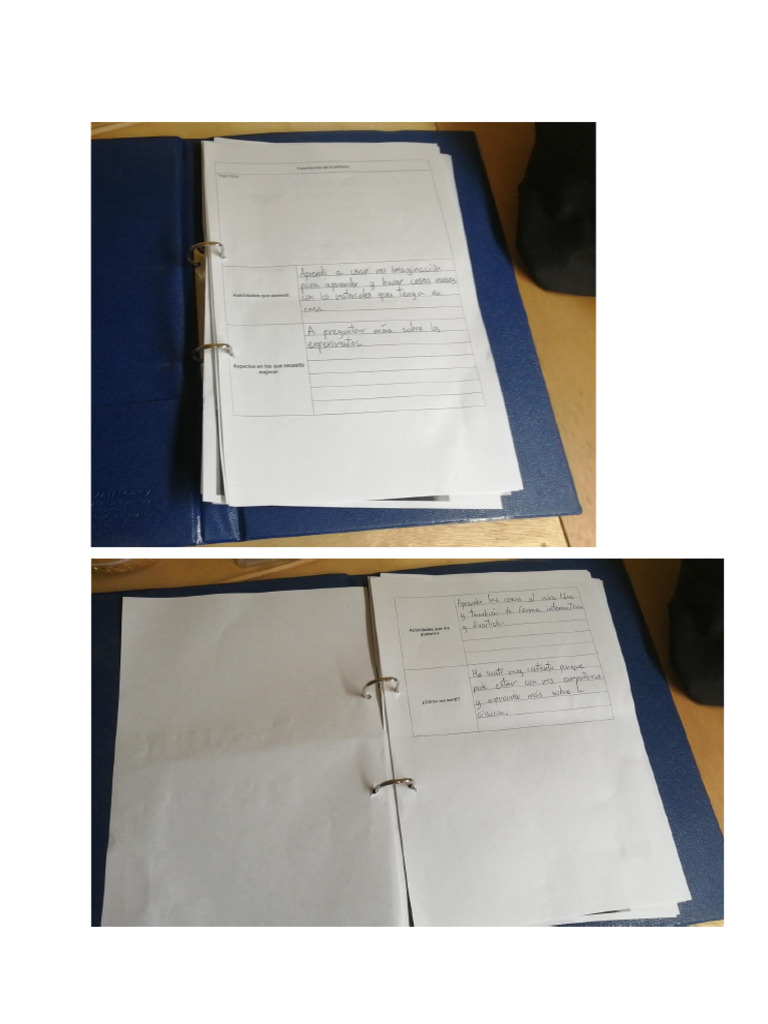 Tarea Que Opino | PDF