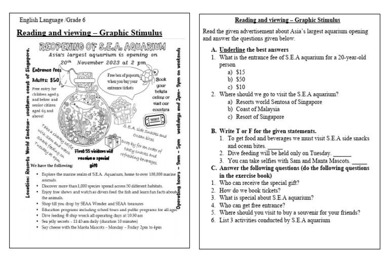 Graphic Stimulus Worksheet 1 | PDF