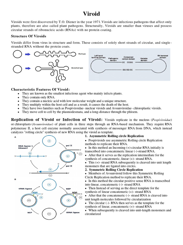 Basic Microbiology Part-2 | PDF | Archaea | Rna