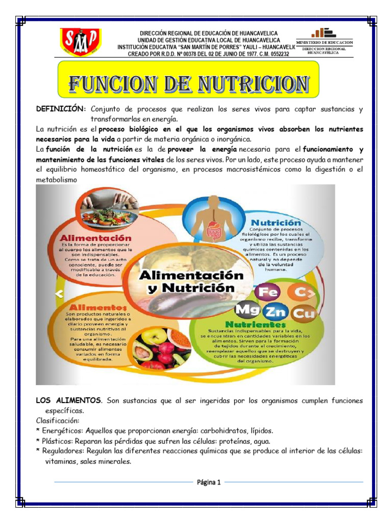 Funcion de Nutricion | PDF | Sistema digestivo humano | Digestión