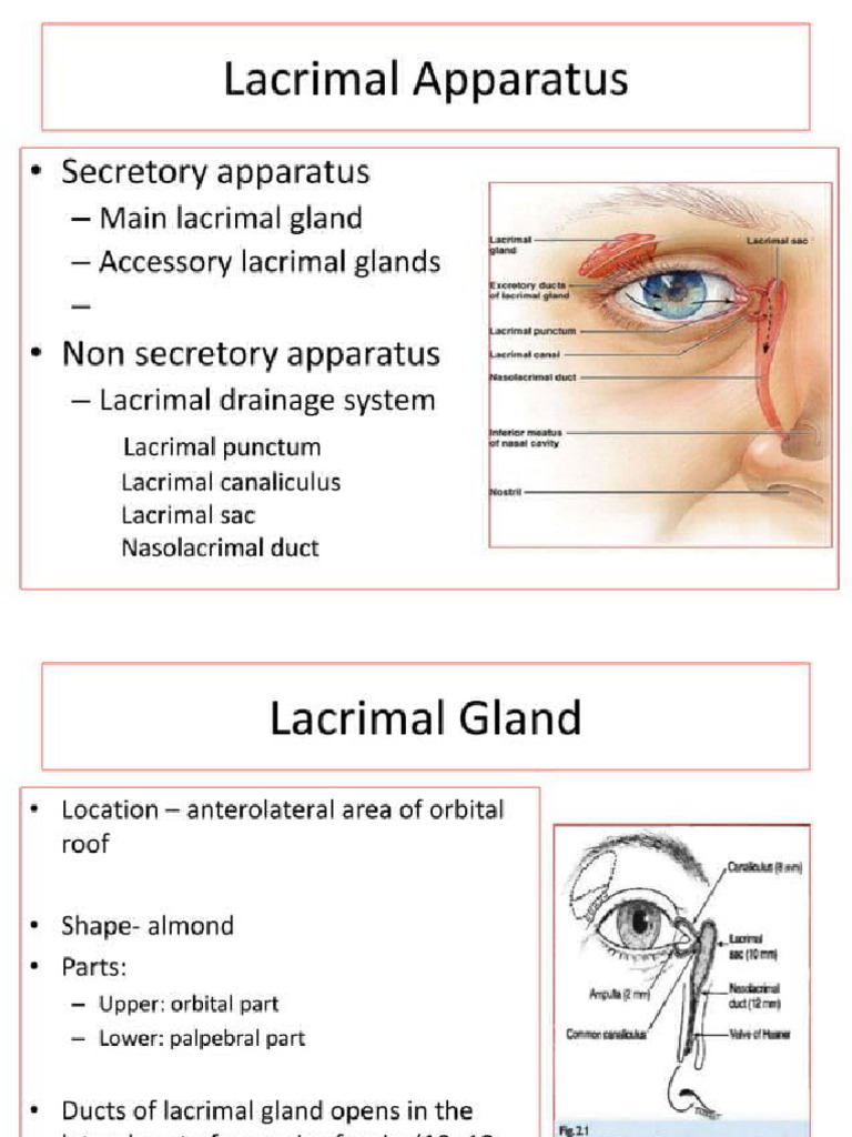 Lacrimal Duct Dilation | PDF