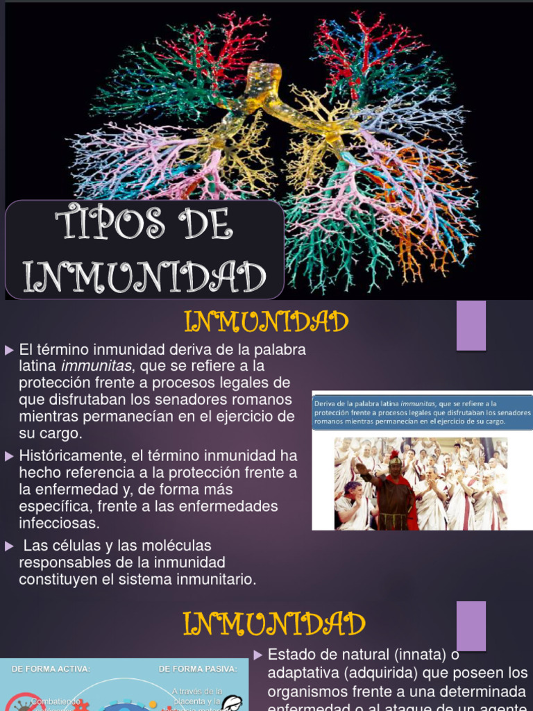 Guía de Inmunidad y Anticuerpos | PDF | Sistema inmune | Anticuerpo