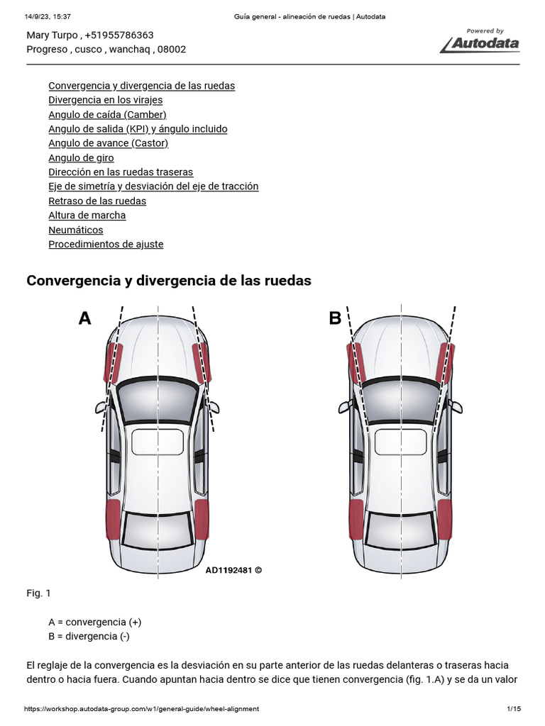 Guía general - alineación de ruedas _ Autodata.pdf ALINEACIÓN FRONTIER ...